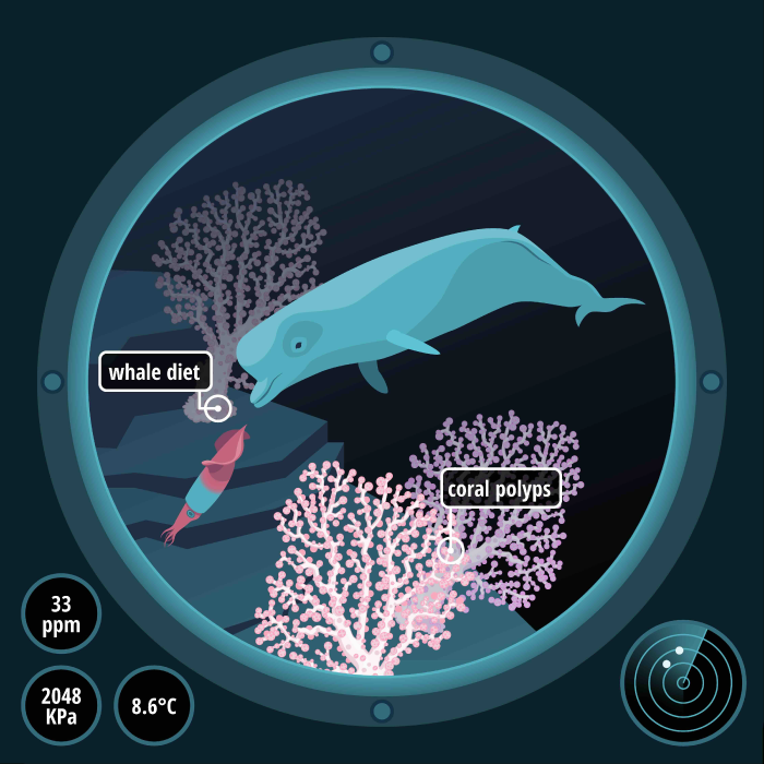 MSc2006 Advanced Media: Course Website